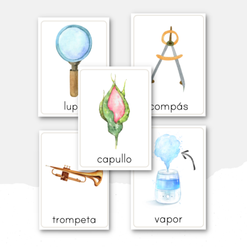 Tarjetas: Fonema /p/ medial – Sweet Home Learning
