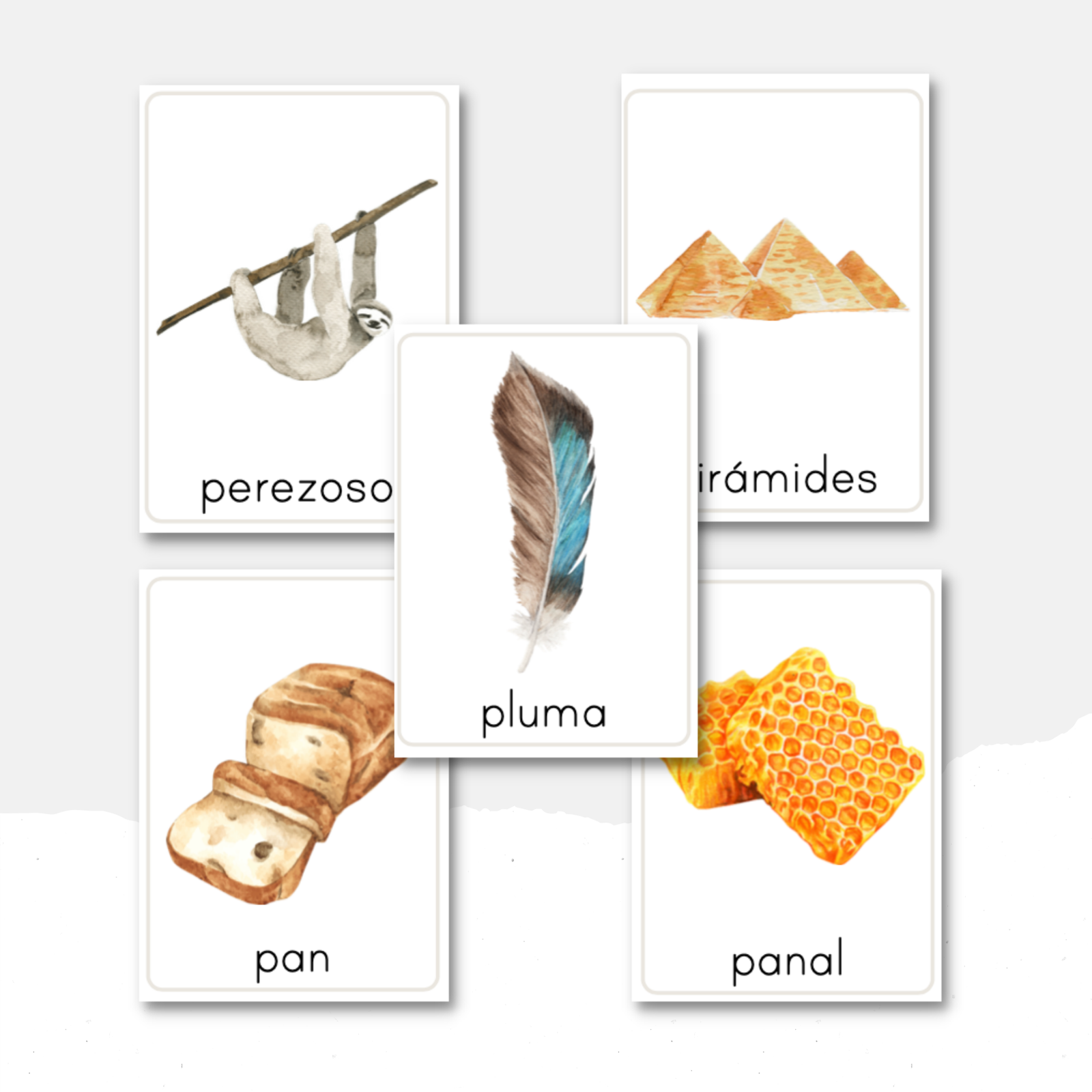 Tarjetas: Fonema /p/ inicial – Sweet Home Learning