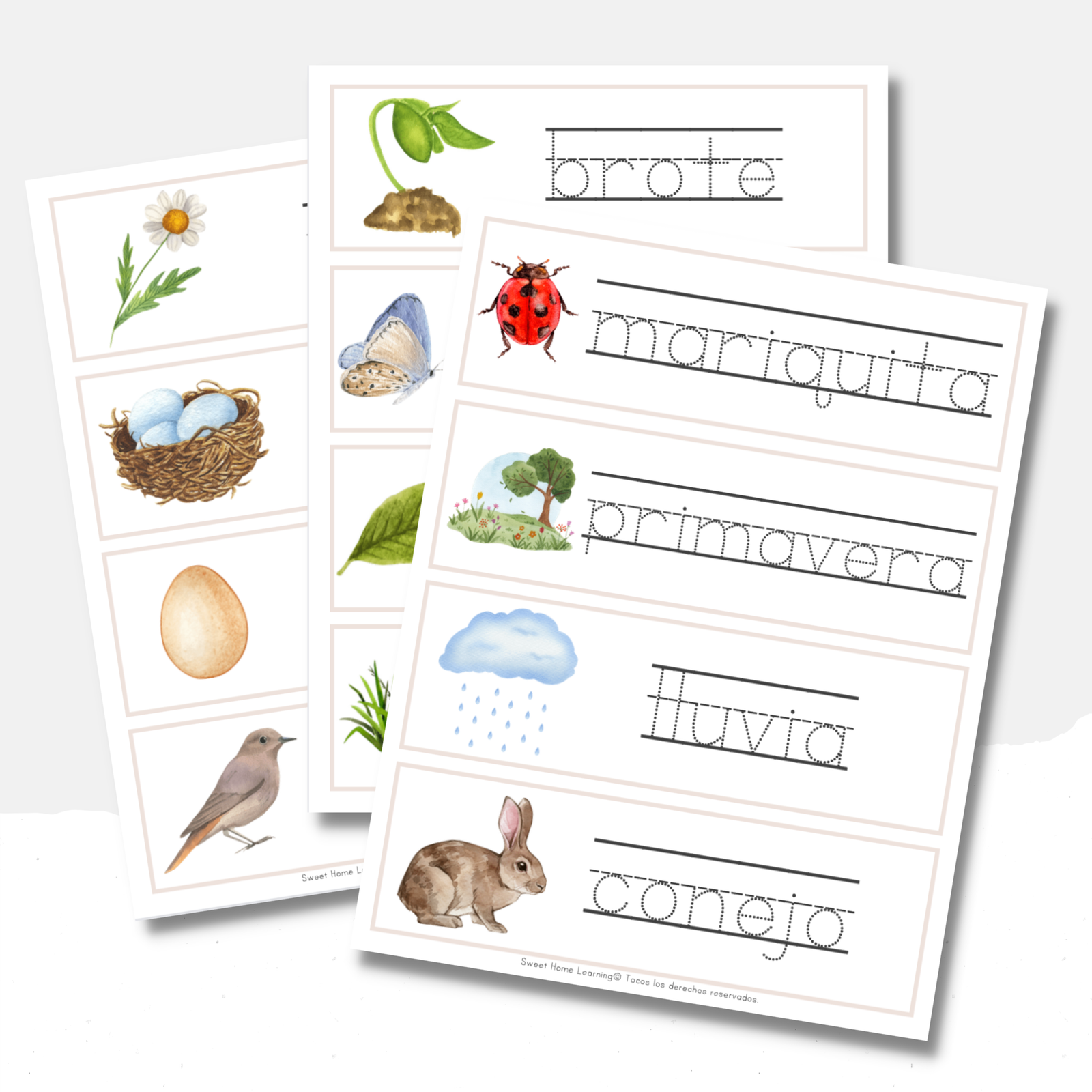 Trazando Palabras de Primavera – Sweet Home Learning