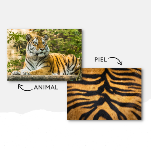 Montessori Visual Discrimination Activity – Animals Matching Montessori ...